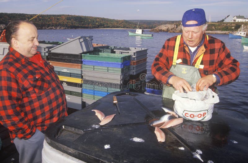 Two fishermen editorial stock image. Image of village - 26902214