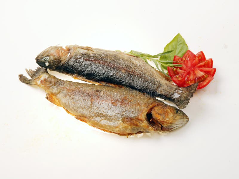Two fishes stock photo. Image of healthy, lunch, food - 17878458