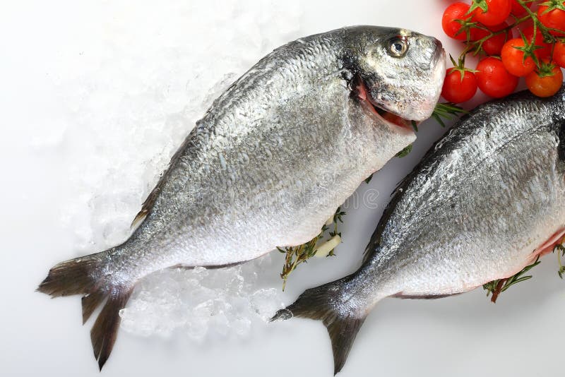 Two fishes stock image. Image of nutrition, healthy, ingredient - 37565885