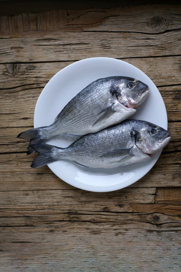 Two fishes on white plate stock image. Image of plate - 369731277