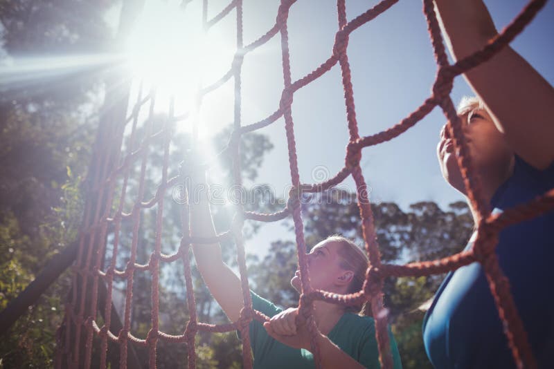 Two Fit Women Climbing a Net during Obstacle Course Training Stock ...