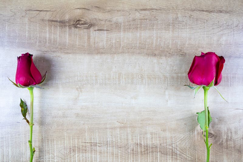 Two Flat Flowers Spread Apart on a Wooden Table Stock Photo - Image of ...