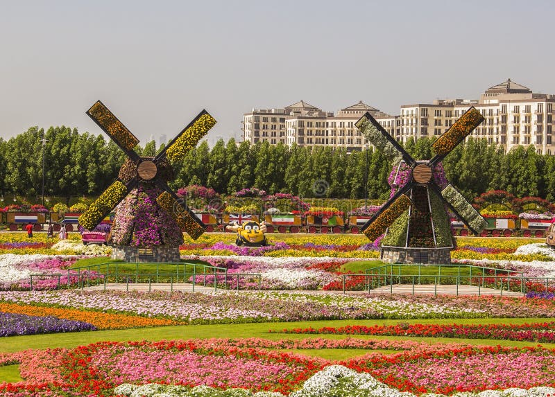 Two Flower Mills on the Field of Flowers Editorial Photo - Image of ...