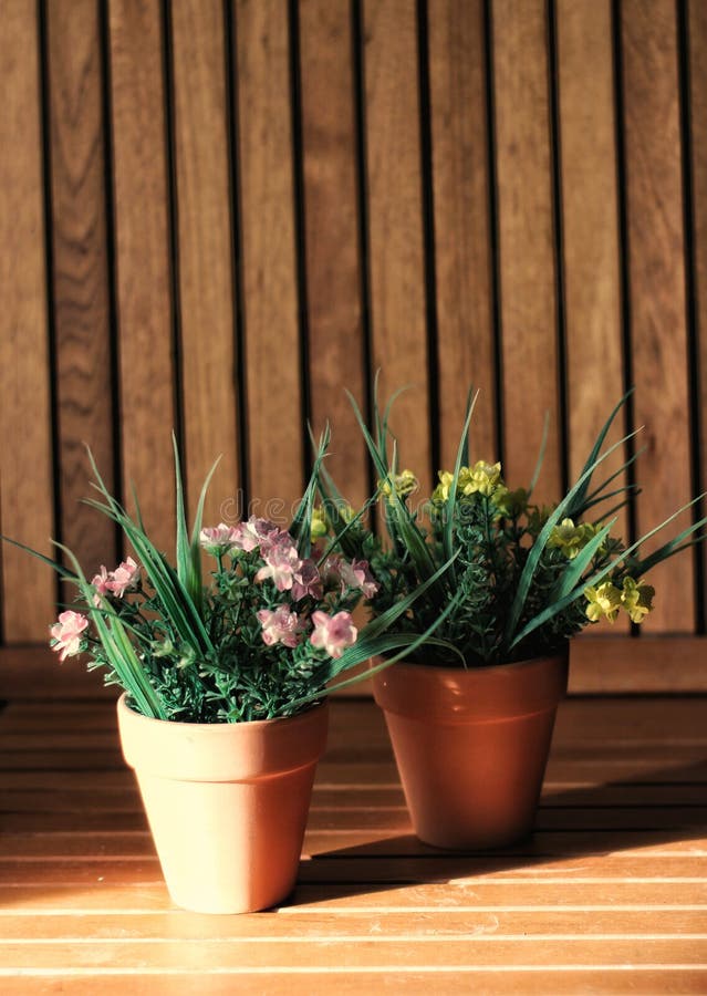 Two flower pots. stock image. Image of flowers, wood - 140983335