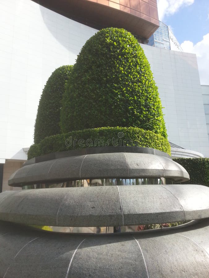 Two Flower Trees that Were Shaped Like Small Mountains on a Beautiful ...