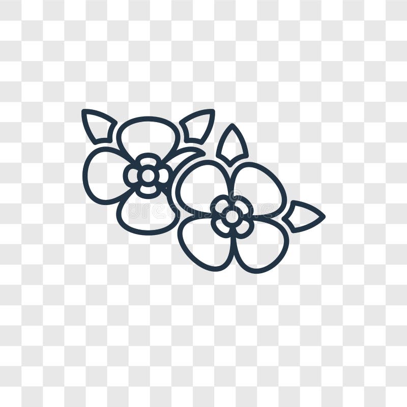 Two Flowers Concept Vector Linear Icon on Transparent B Stock Vector ...