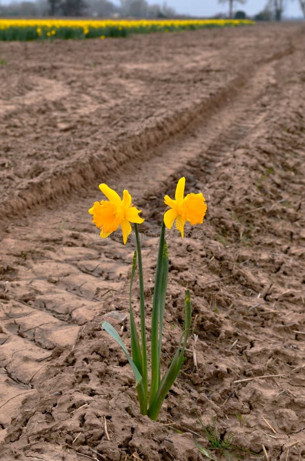 Trust stock photo. Image of girl, grandmother, happy, aged - 7517002