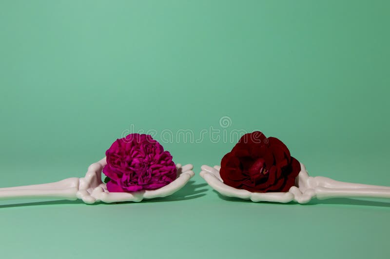 Two Flowers in Skeleton Hands, Creative Scary Romantic Concept Stock ...