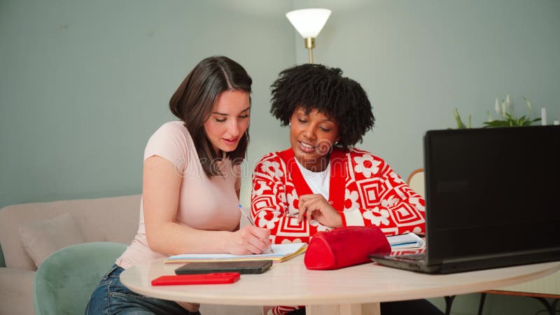 Two Focused Students Share Knowledge and Collaborate on Academic Work ...