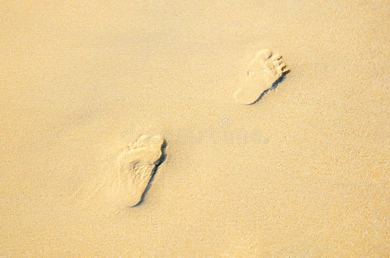 Two Footprints of Bare Feet Imprinted in Wet Sand Stock Photo - Image ...