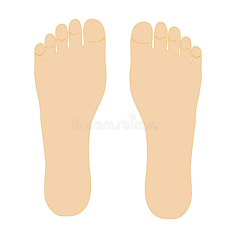 Feet collection stock vector. Illustration of heel, vector - 15096058