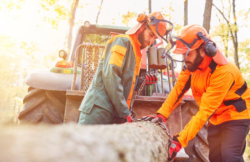 Forest Workers Load Tree Trunk on Forwarder Stock Photo - Image of blue ...