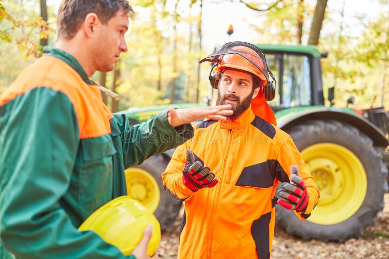 Two Forest Workers are Planning the Wood Harvest Stock Photo - Image of ...