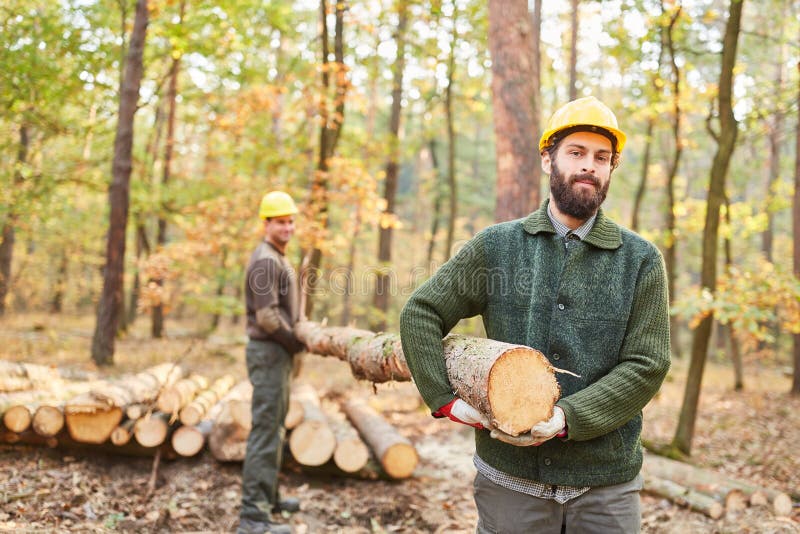 Two Forest Workers Transport a Tree Trunk Stock Image - Image of ...