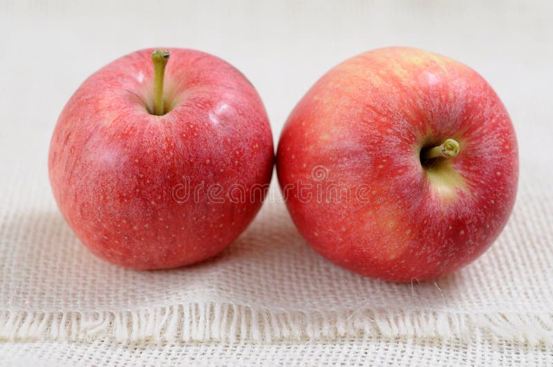 Two fresh apples stock photo. Image of apple, eating - 35766236