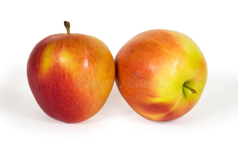Two Fresh Apples Isolated on White Stock Image - Image of objects ...