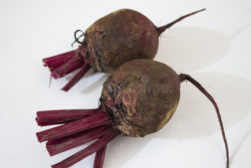 Two Fresh Beetroots with Stems Isolated on a White Background Stock ...