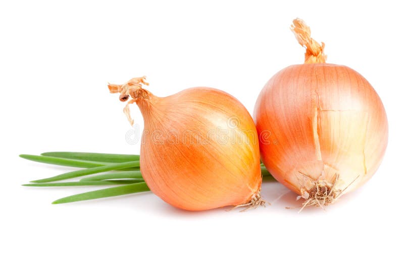 Two Fresh Bulbs of Onion and Fresh Scallions Stock Photo - Image of ...