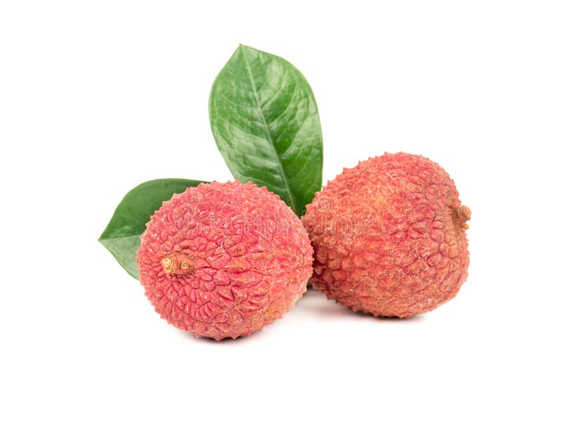 Fresh Exotic Chinese Lychee Fruit Stock Photo - Image of vitamins ...