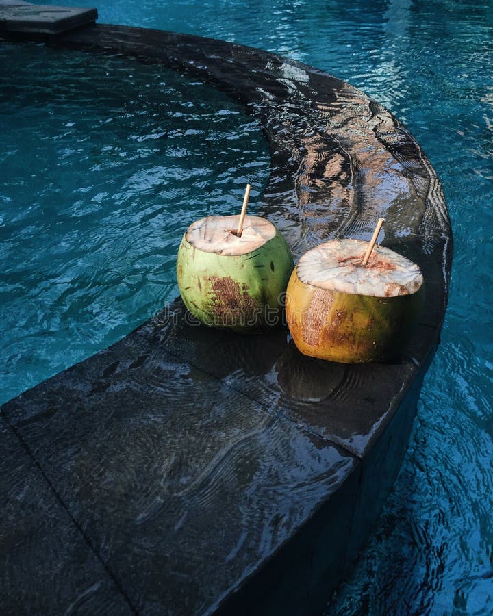 Two Fresh Cold Coconut on Edge of Pool Stock Image - Image of brown ...