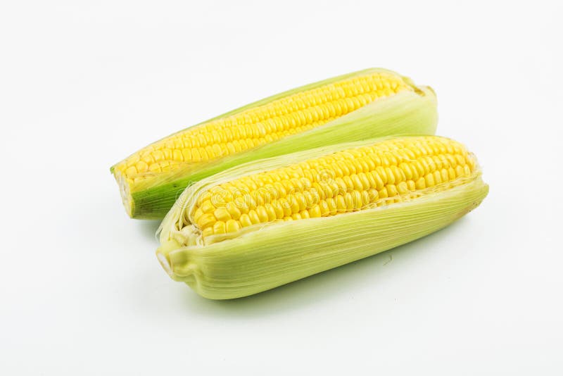 Two Fresh corn isolated stock photo. Image of colorful - 140930240
