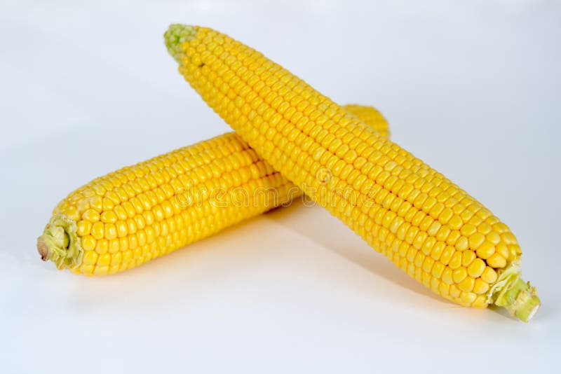 Fresh Corn and cauliflower stock photo. Image of healthy - 59210912