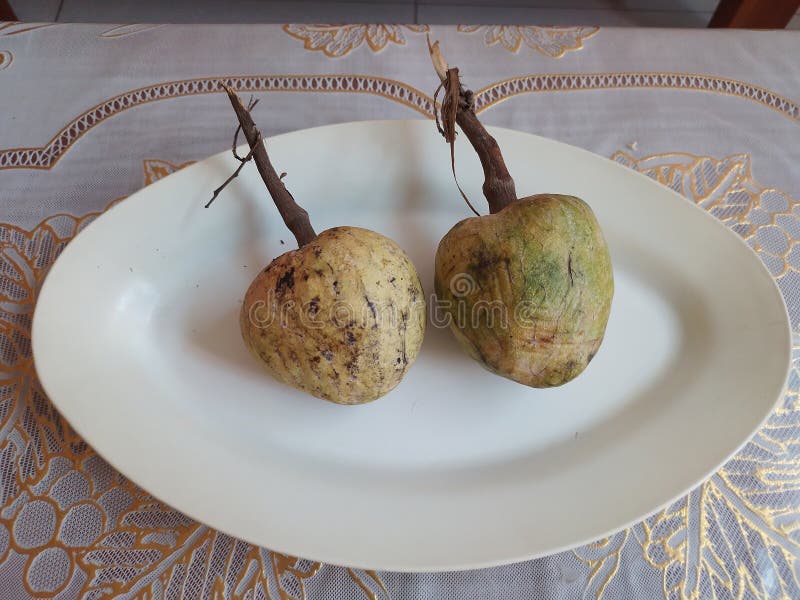 Two Fresh Custard Apple in a Plate at Table Stock Photo - Image of ...