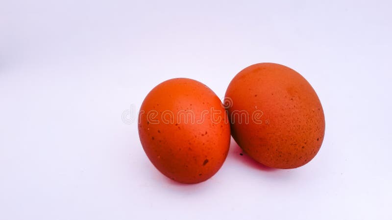 Two Fresh Eggs Isolated on White Background. Stock Image - Image of ...