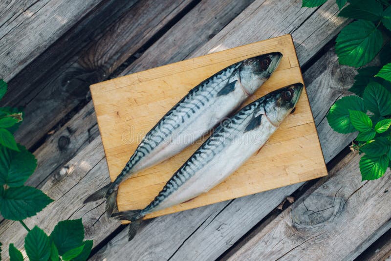 Two Fresh Fish on a Cutting Board, Cooking Mackerel,fish Tails Close Up ...