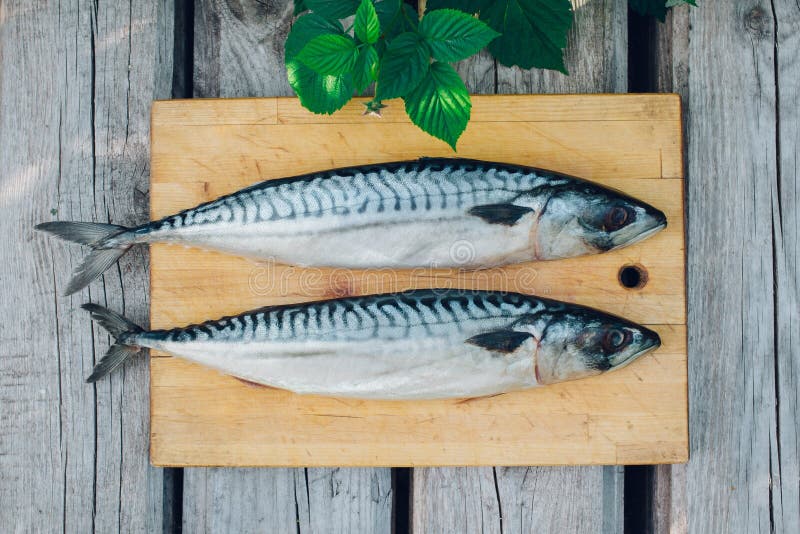 Two Fresh Fish on a Cutting Board, Cooking Mackerel,fish Tails Close Up ...