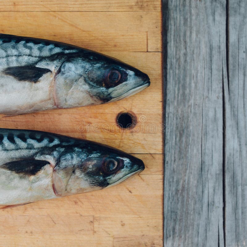 Two Fresh Fish on a Cutting Board, Cooking Mackerel,fish Tails Close Up ...