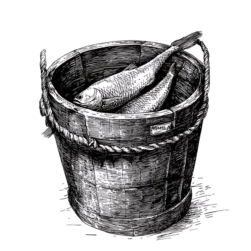 Two Fresh Fish in a Wooden Bucket Stock Illustration - Illustration of ...