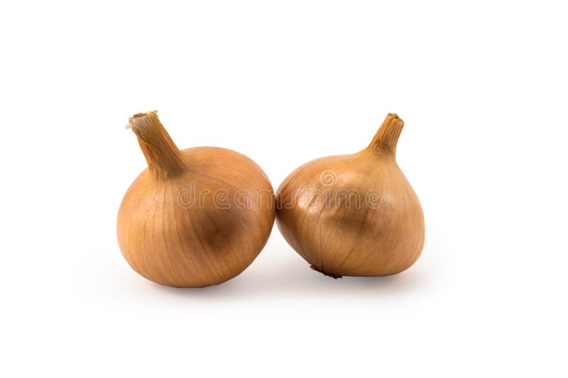 Two Fresh Gold Onions Isolated on White. Stock Photo - Image of colored ...