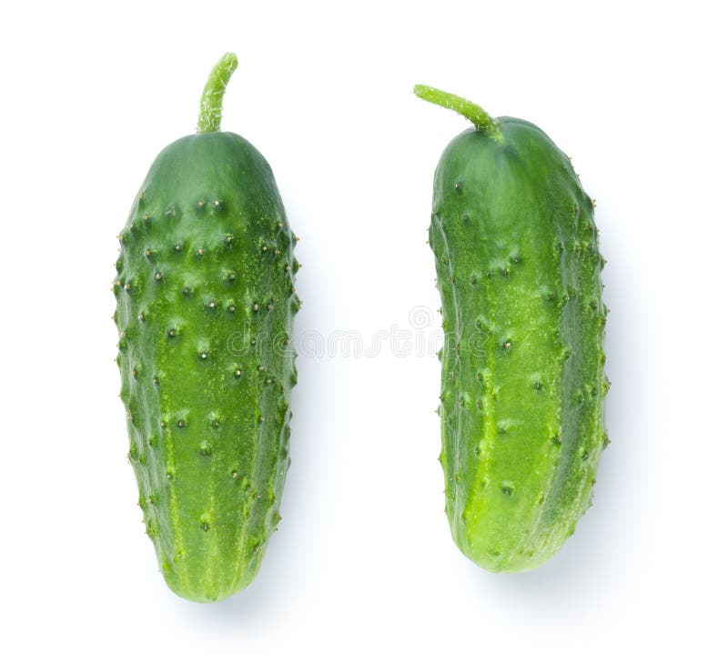 Fresh Cucumber Slices Isolated on White Background Stock Photo - Image ...
