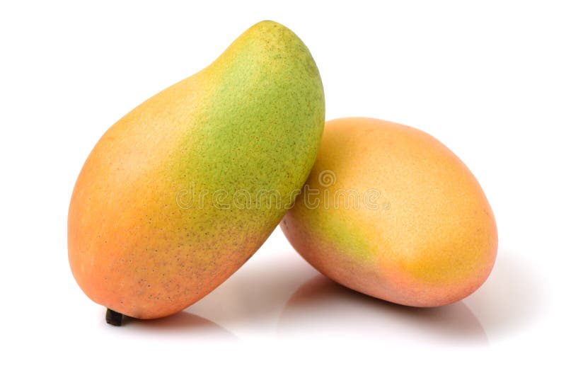 Two fresh mango stock photo. Image of plenty, green - 116310340