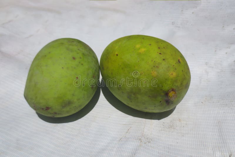 Two fresh mangoes stock photo. Image of berry, glass - 247398298