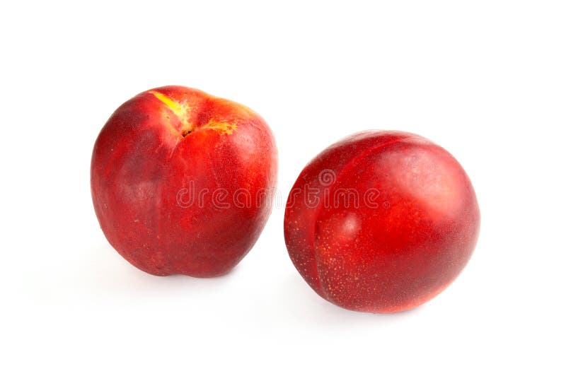 Two fresh nectarines stock photo. Image of closeup, isolated - 24735538