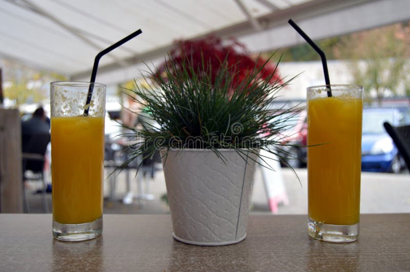Two fresh orange juice stock image. Image of cold, fresh - 79941041