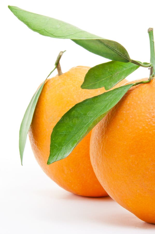 Fresh Orange Juice stock photo. Image of isolated, food - 29022288