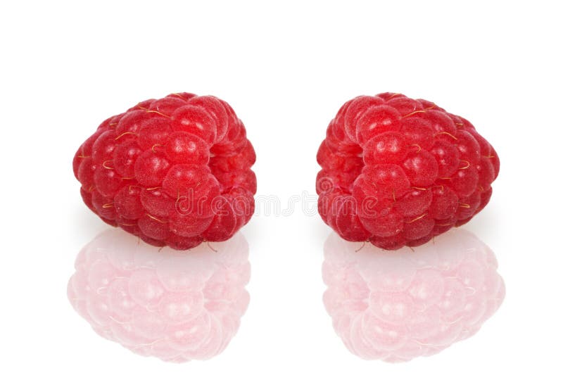 Two fresh red raspberries stock photo. Image of background - 42351082