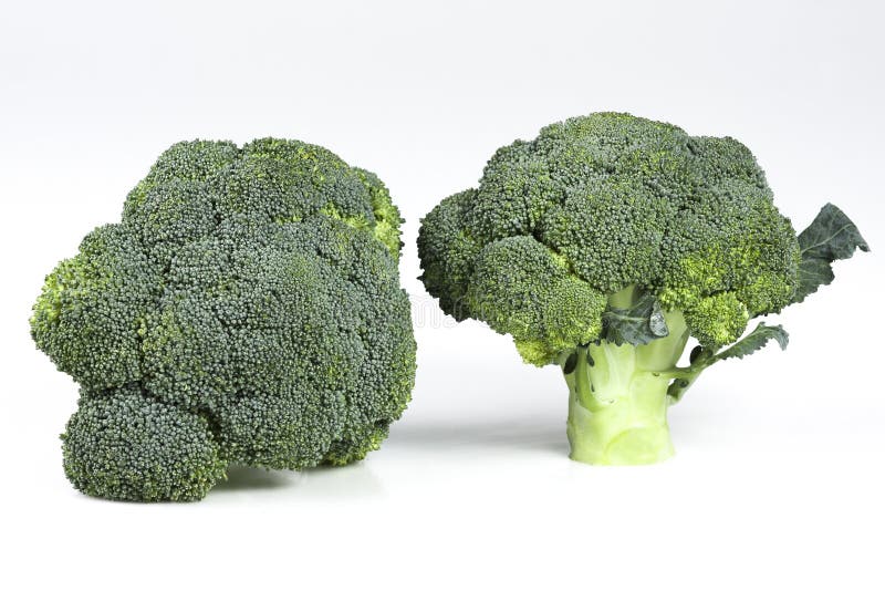 Two Fresh Ripe Broccoli Heads Stock Image - Image of eating, organic ...