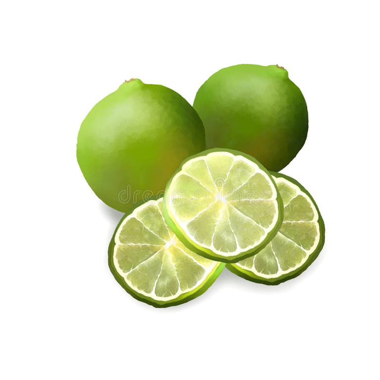 Two Fresh Ripe Limes and Limes Slice Stock Photo - Image of citrus ...