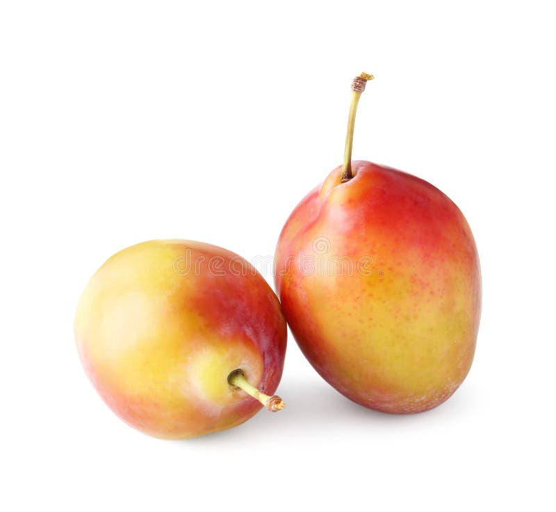 Two Fresh Ripe Plums Isolated on White Stock Photo - Image of food ...