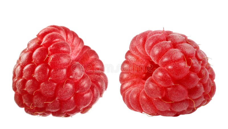 Two Fresh Ripe Raspberries Isolated on White Stock Photo - Image of ...