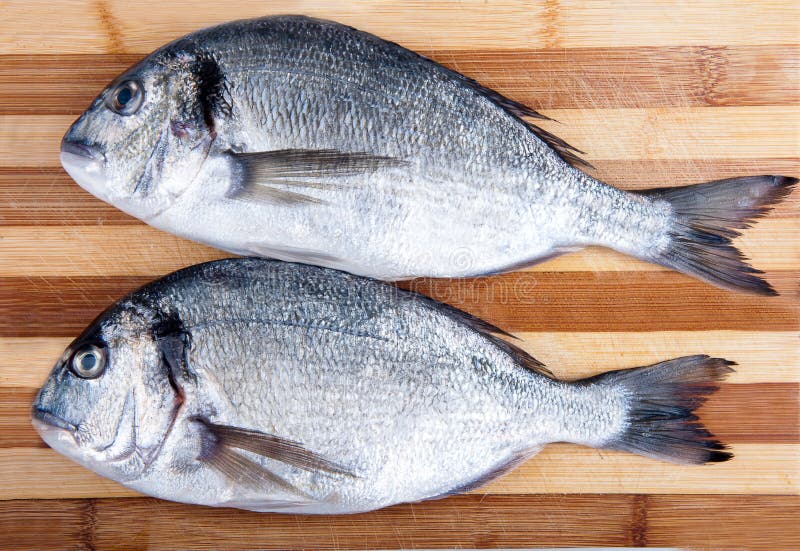 Two fresh sea bream stock image. Image of protein, bream - 25849639