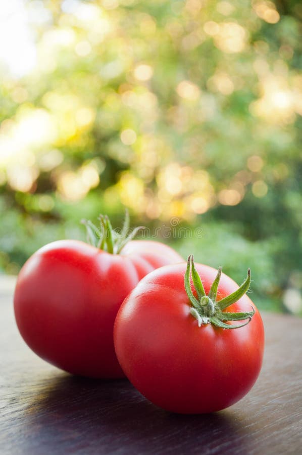 Two fresh tomatoes stock image. Image of delicious, fresh - 26452335