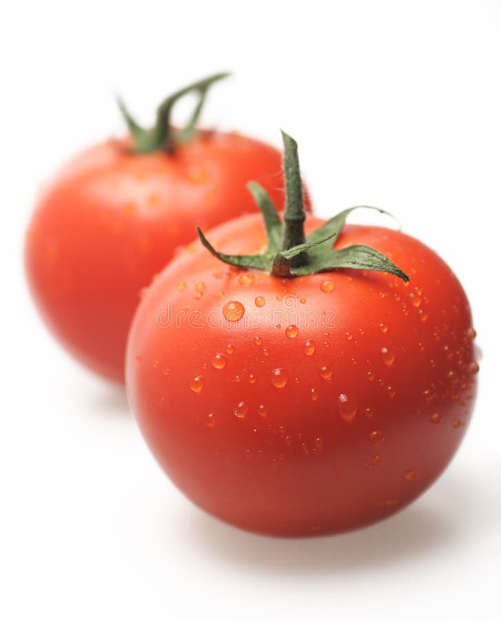 Two fresh tomatoes stock photo. Image of organic, white - 5007652