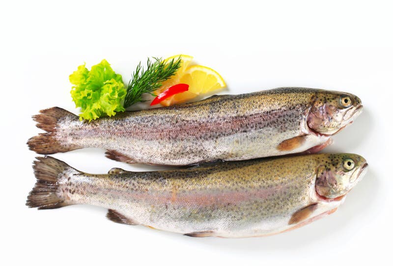 Two fresh trout stock photo. Image of healthy, vitamin - 55135714