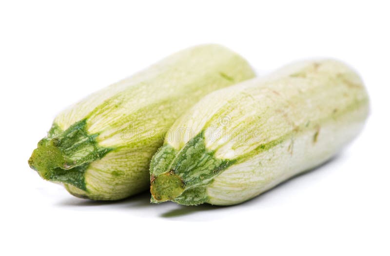 Two Fresh Vegetable Marrows Stock Photo - Image of shot, healthy: 190643090