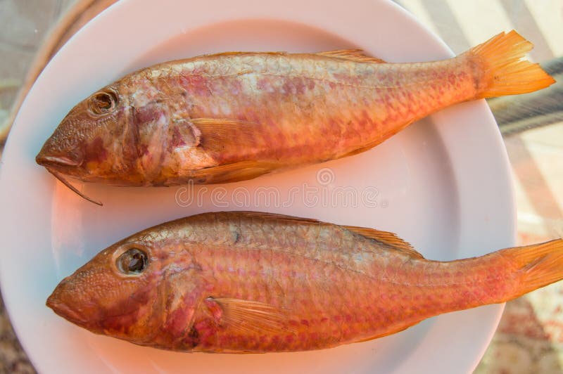 Two Fried Lamb Fish of the Perch Family on a White Plate, Top View ...